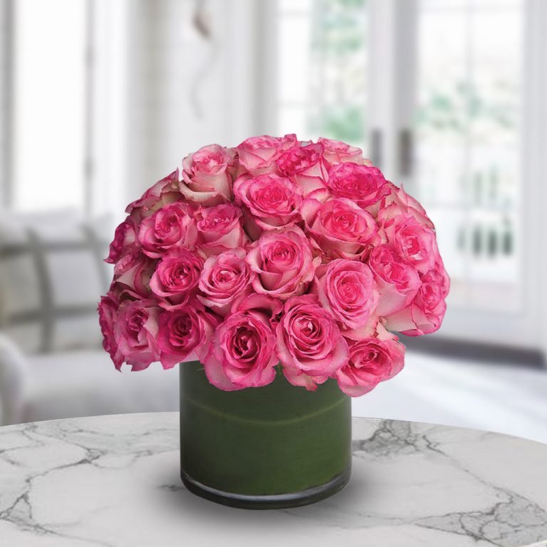 Creole Pink - Intraflorame
